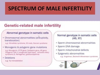 'GENETICS OF MALE & FEMALE INFERTILITY.pptx