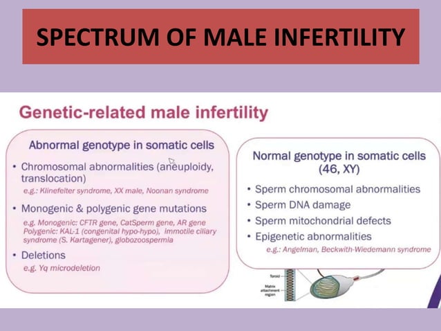 'GENETICS OF MALE & FEMALE INFERTILITY.pptx