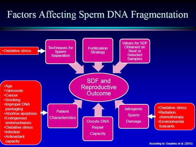 'GENETICS OF MALE & FEMALE INFERTILITY.pptx