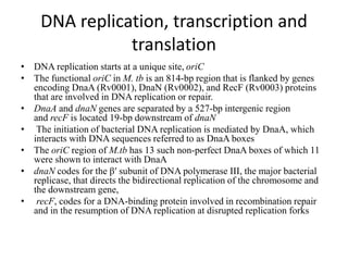 msc in micro genetics of mycobacterium TB.pptx