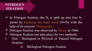 GENETICS OF NITROGEN FIXATION/ MICROBIOLOGY | PPT