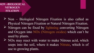 GENETICS OF NITROGEN FIXATION/ MICROBIOLOGY | PPT