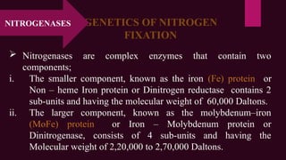 GENETICS OF NITROGEN FIXATION/ MICROBIOLOGY | PPT