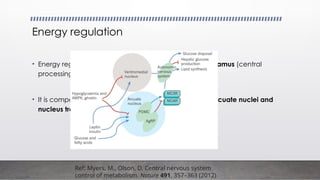 genetics of obesity monogenic syndromic obesity | PPTX