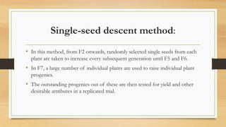 Genetics of plant breeding.pptx