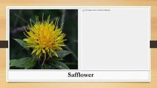 Genetics of plant breeding.pptx