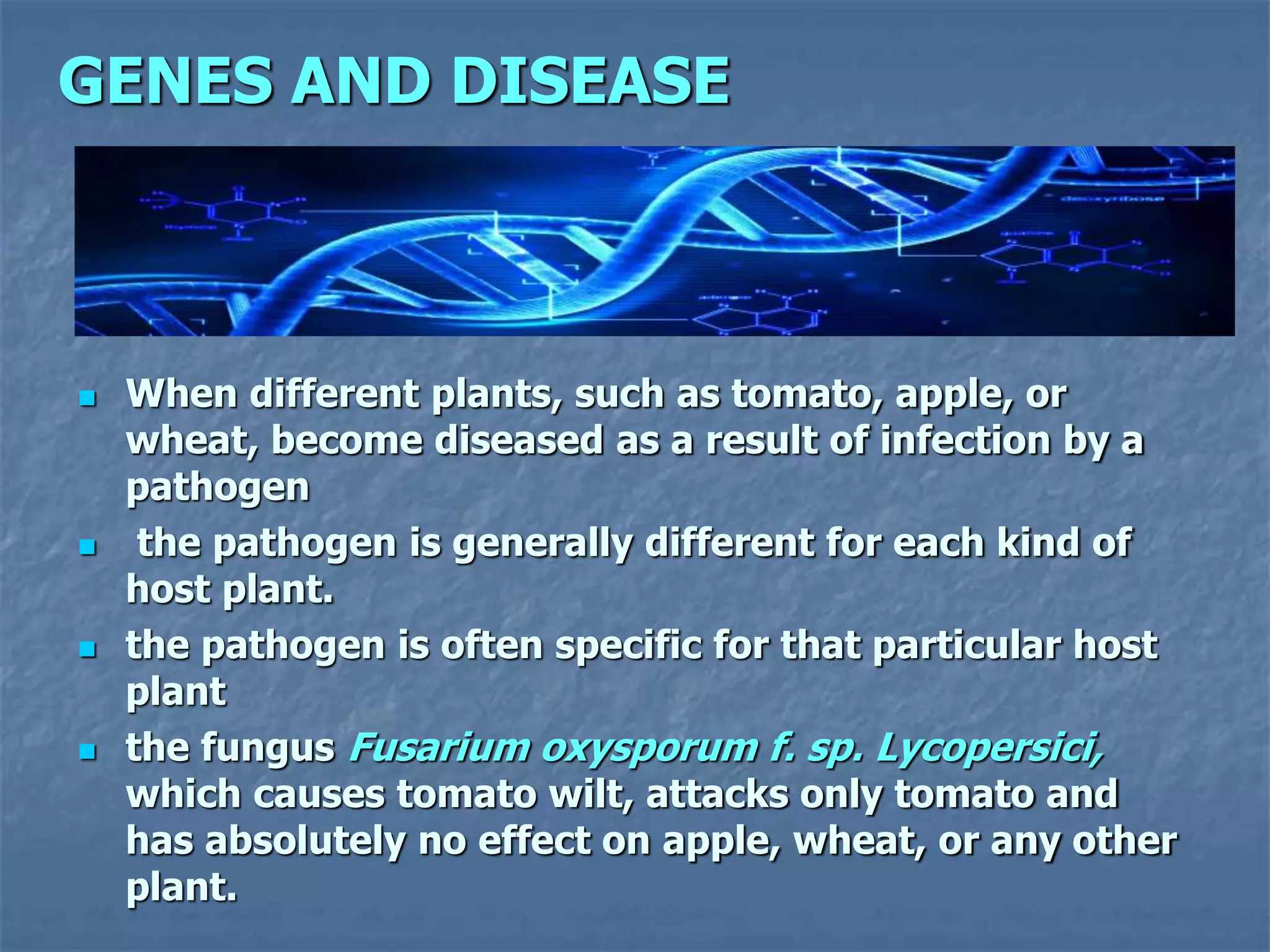 Genetics of plant disease | PPTX