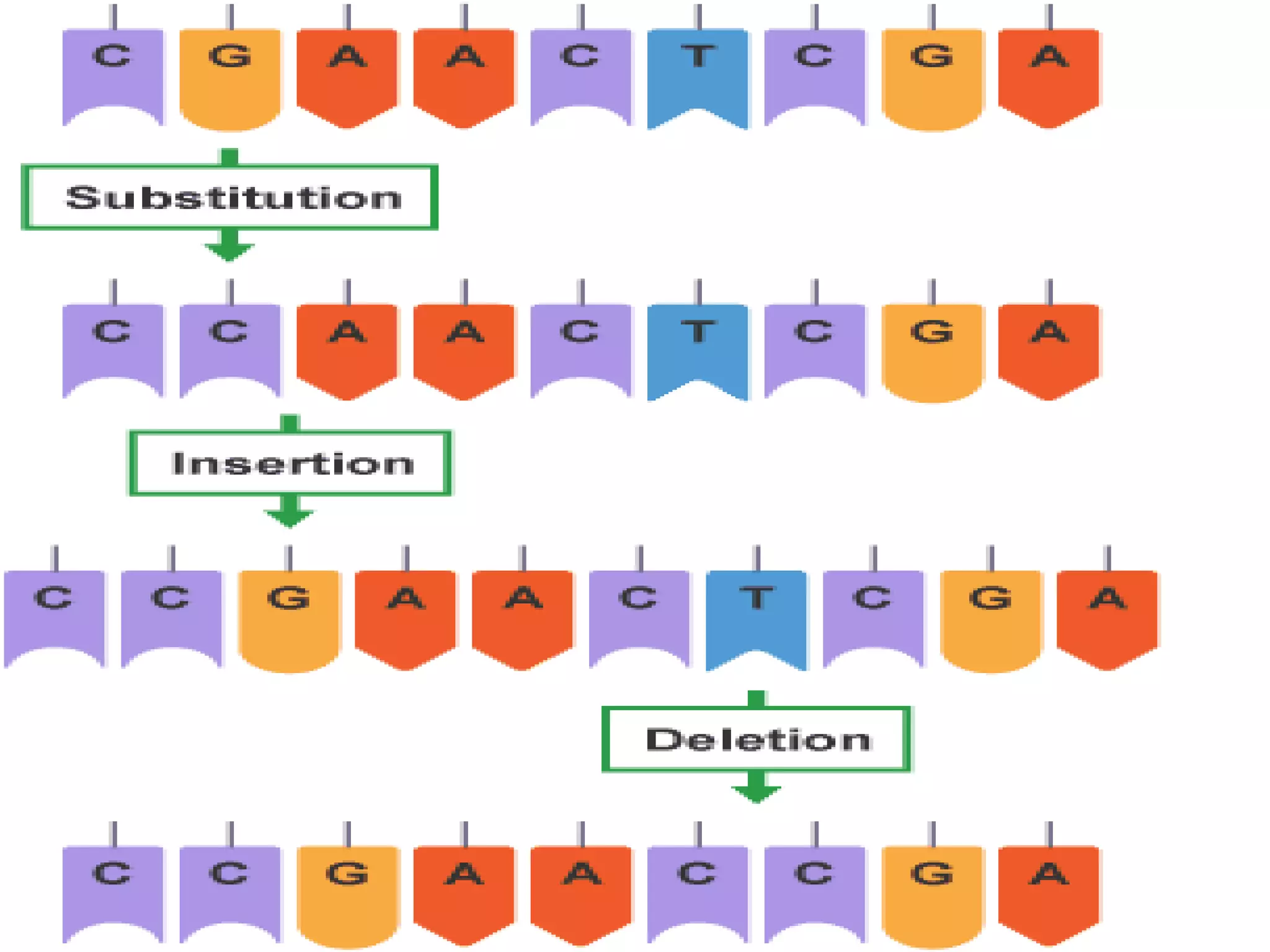 Genetics of plant disease | PPTX