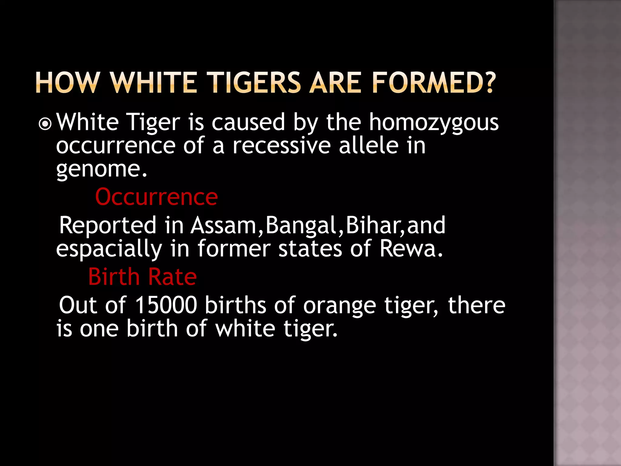 Genetics of white tiger | PPTX