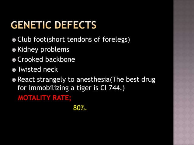 Genetics of white tiger | PPT