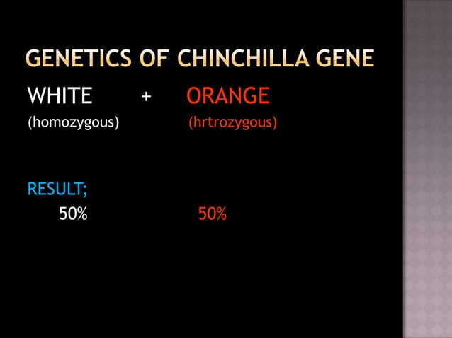 Genetics of white tiger | PPT