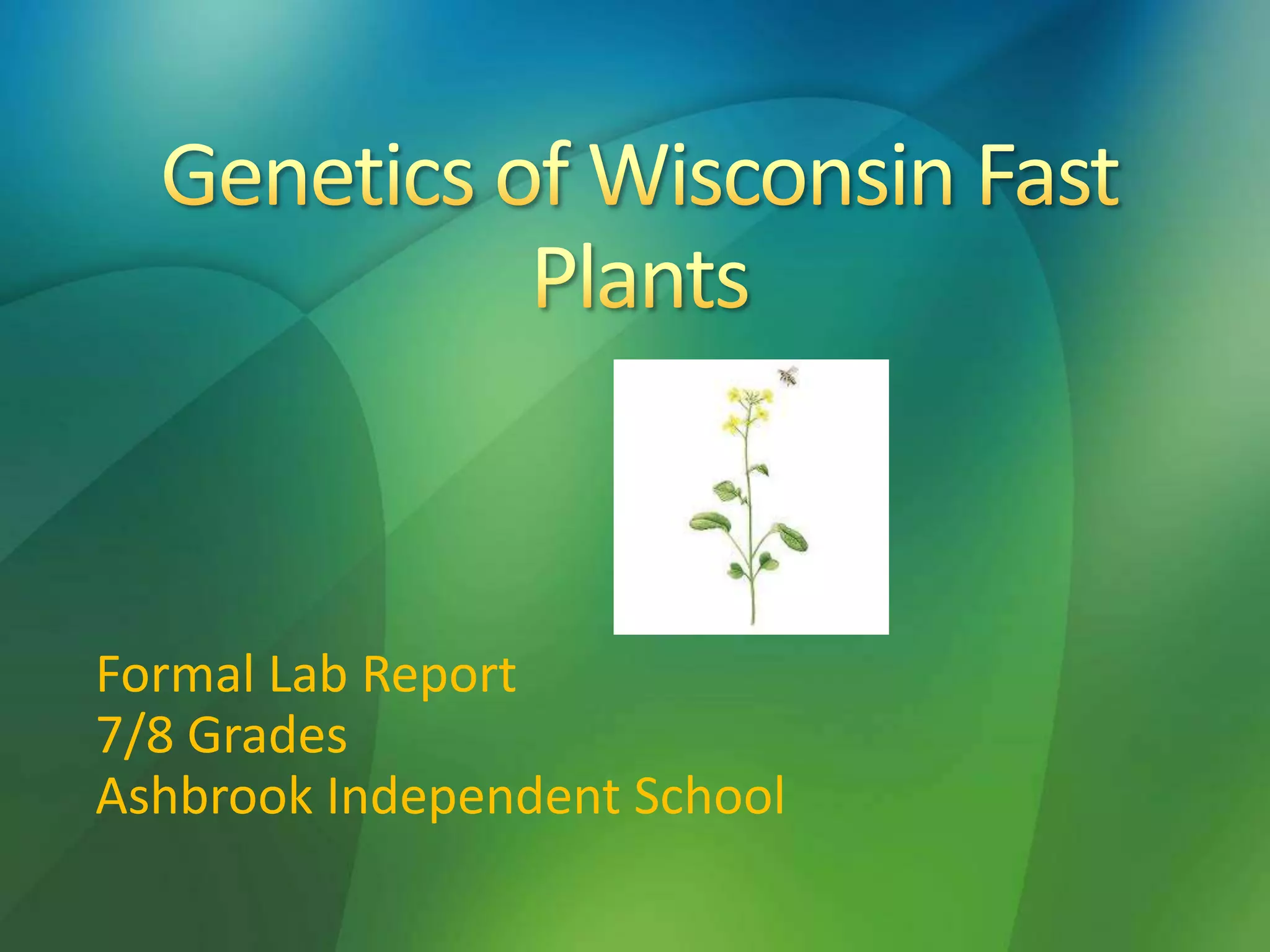 Genetics of wisconsin fast plants | PPTX