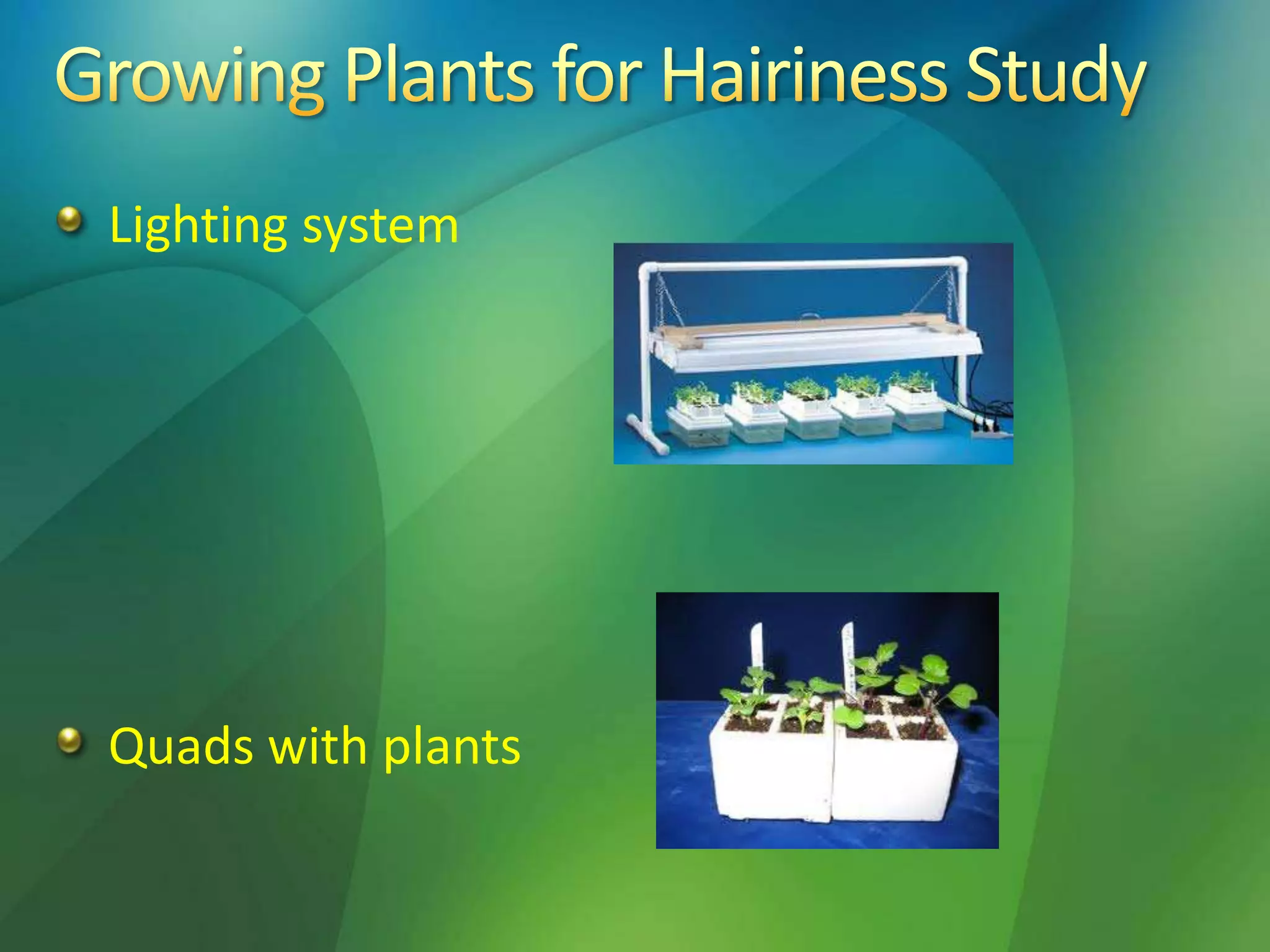 Genetics of wisconsin fast plants | PPTX