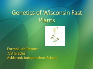 Genetics of wisconsin fast plants | PPTX | Gardening | Home & Garden
