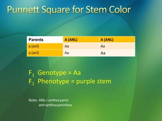 Genetics of wisconsin fast plants | PPTX | Gardening | Home & Garden
