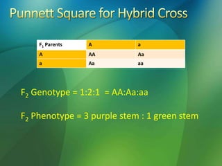 Genetics of wisconsin fast plants | PPTX | Gardening | Home & Garden