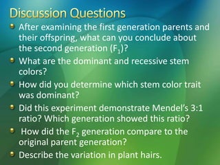 Genetics of wisconsin fast plants | PPTX | Gardening | Home & Garden