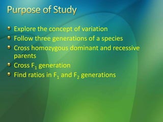 Genetics of wisconsin fast plants | PPTX | Gardening | Home & Garden