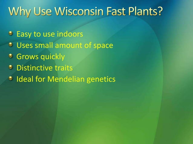 Genetics of wisconsin fast plants | PPTX | Gardening | Home & Garden