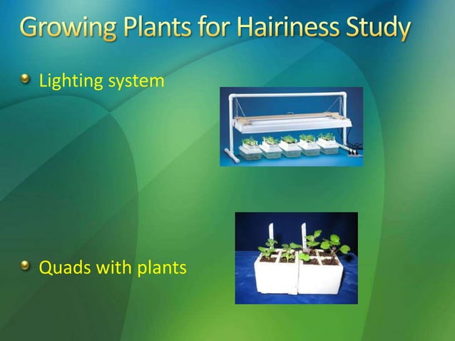 Genetics of wisconsin fast plants | PPTX | Gardening | Home & Garden