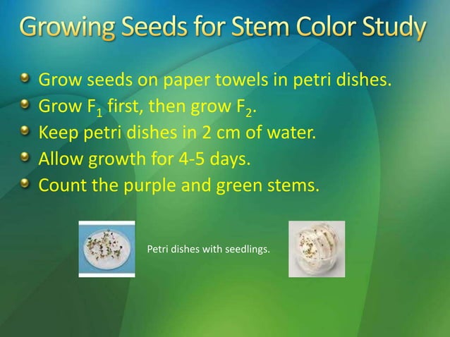 Genetics of wisconsin fast plants | PPTX | Gardening | Home & Garden