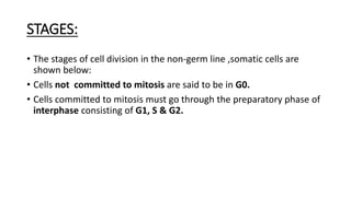 GENETICS INTRODUCTION NURSING | PPTX