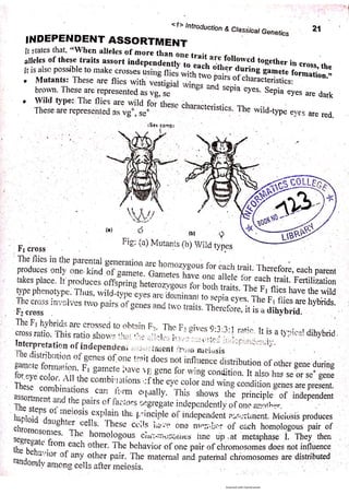 Genetics Part 1 Pdf Genetics Science