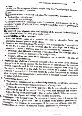 Genetics Part 1 Pdf Genetics Science