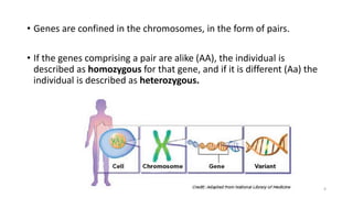 GENETICS, Classification of Genetic Disorders | PPT
