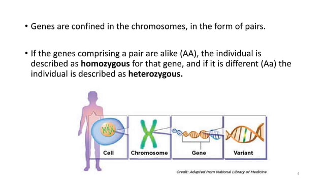 GENETICS, Classification of Genetic Disorders | PPT