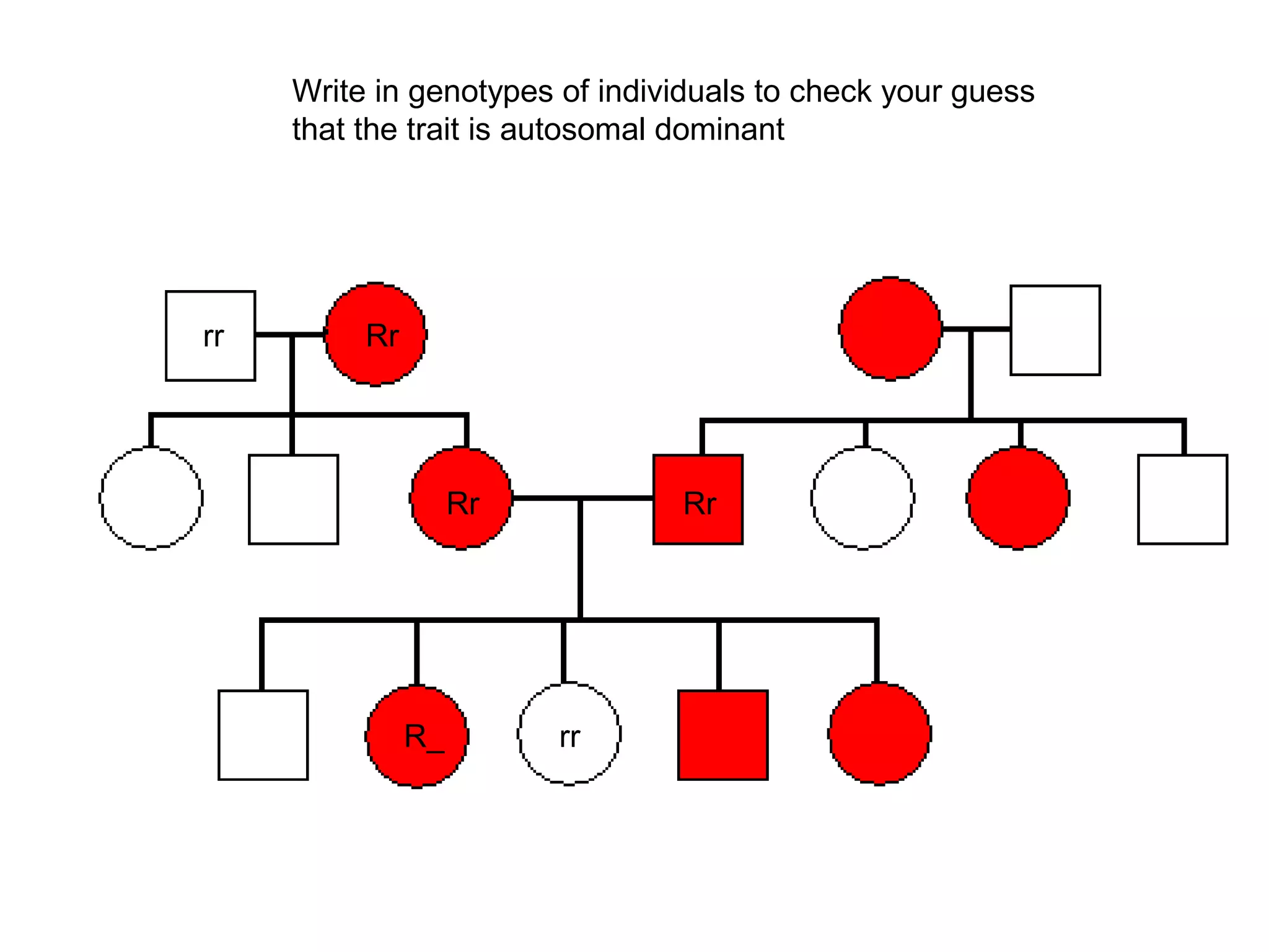 Genetics pedigree problems | PPT