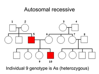 Pedigree Genetics