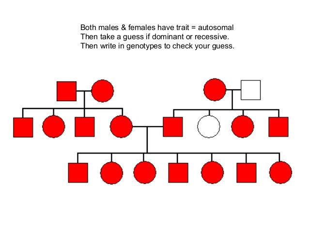 Genetics pedigree problems