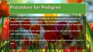 Genetics & plant breeding.pptx