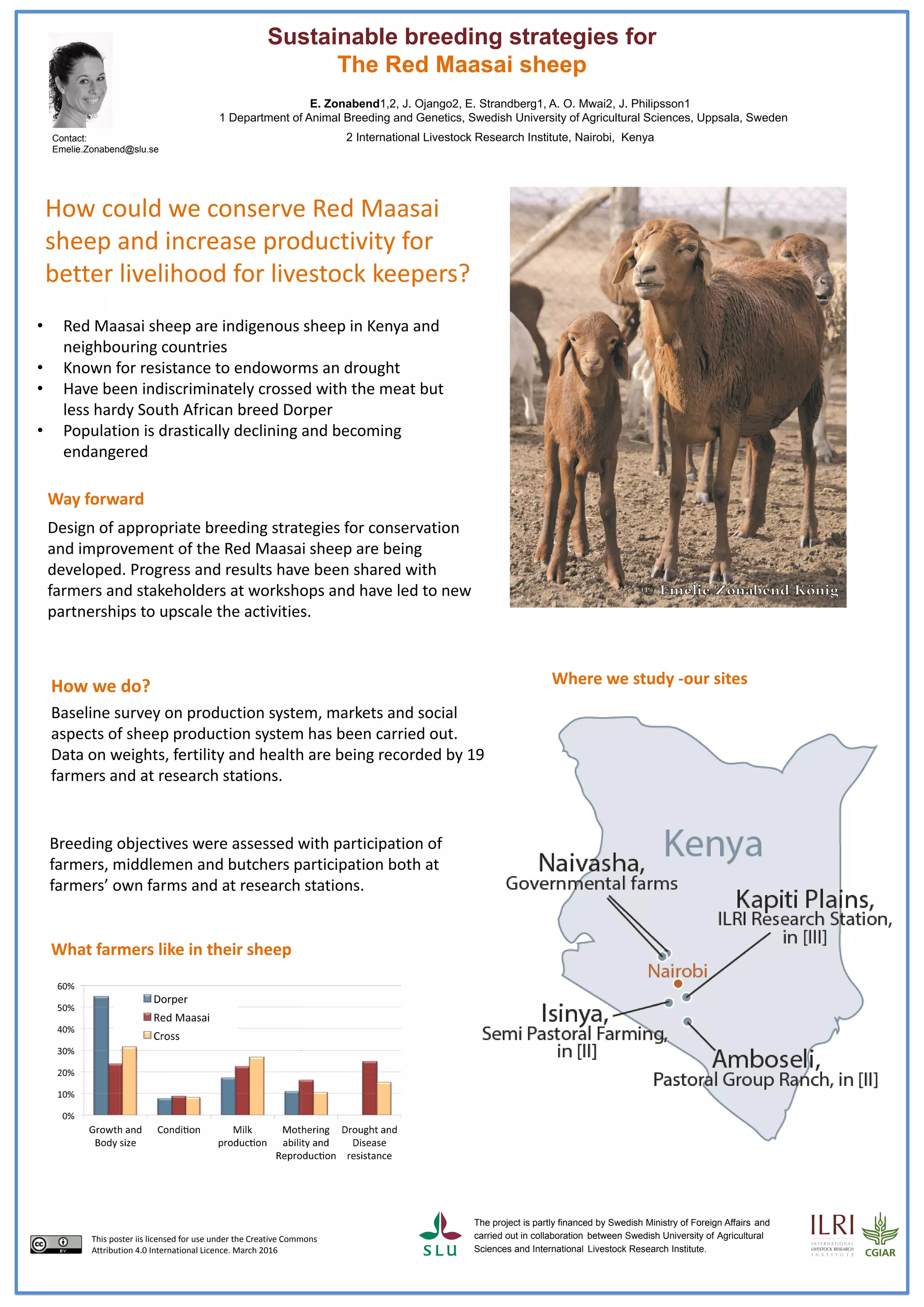 Sustainable breeding strategies for the Red Maasai sheep | PDF