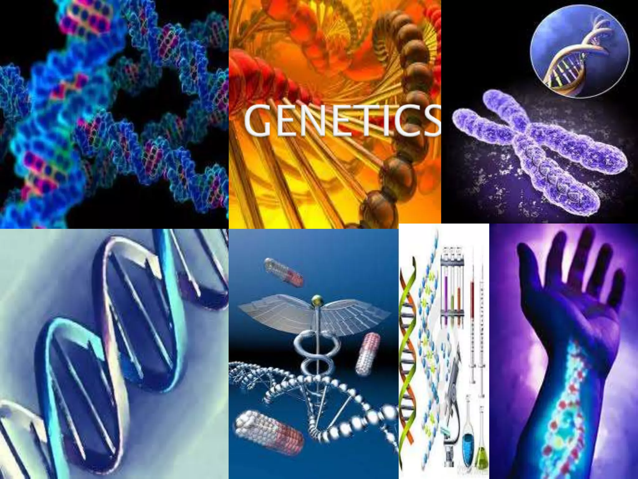 Genetics powerpoint | PPTX | Genetics | Science