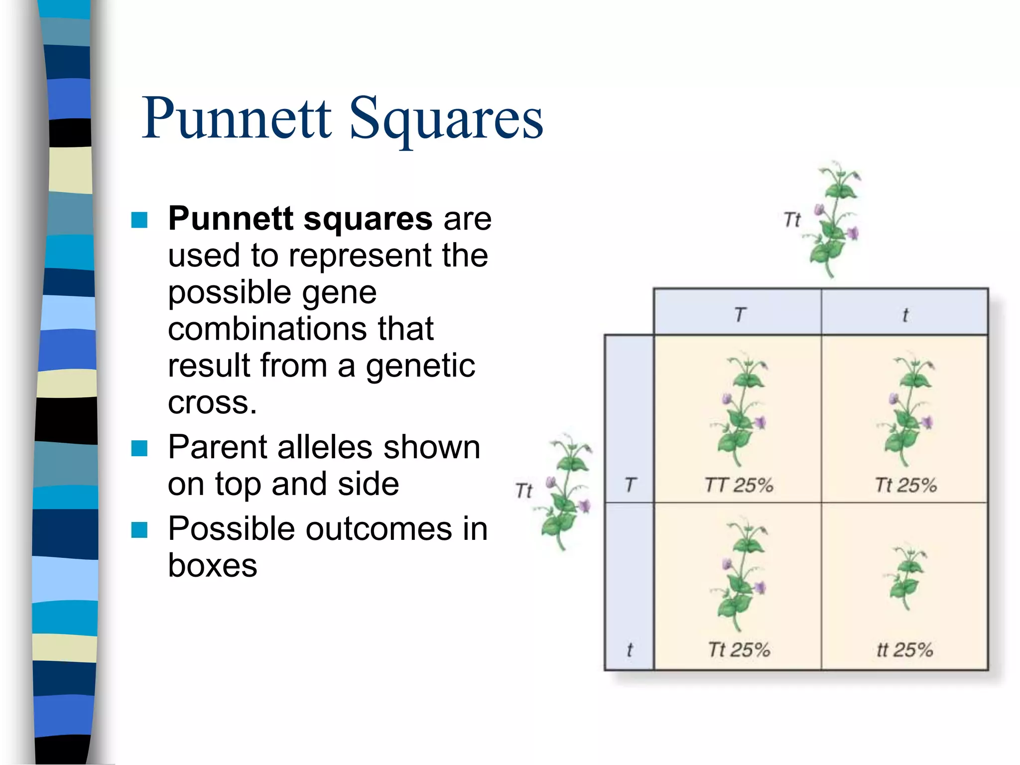 Genetics Powerpoint.pptx