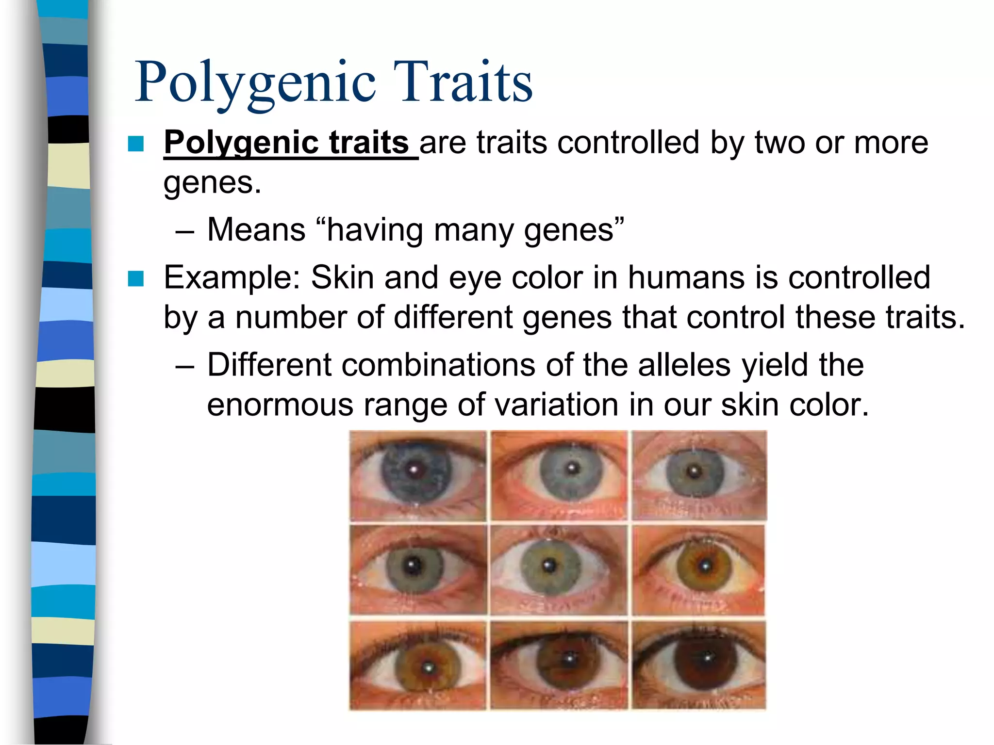 Genetics Powerpoint.pptx