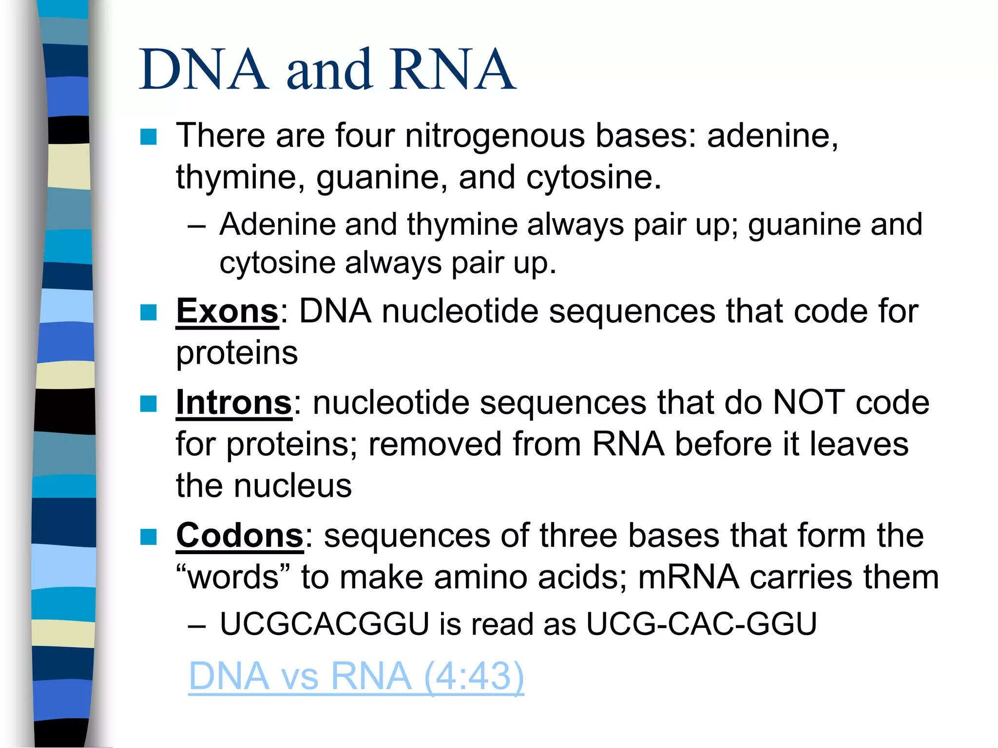 Genetics Powerpoint.pptx