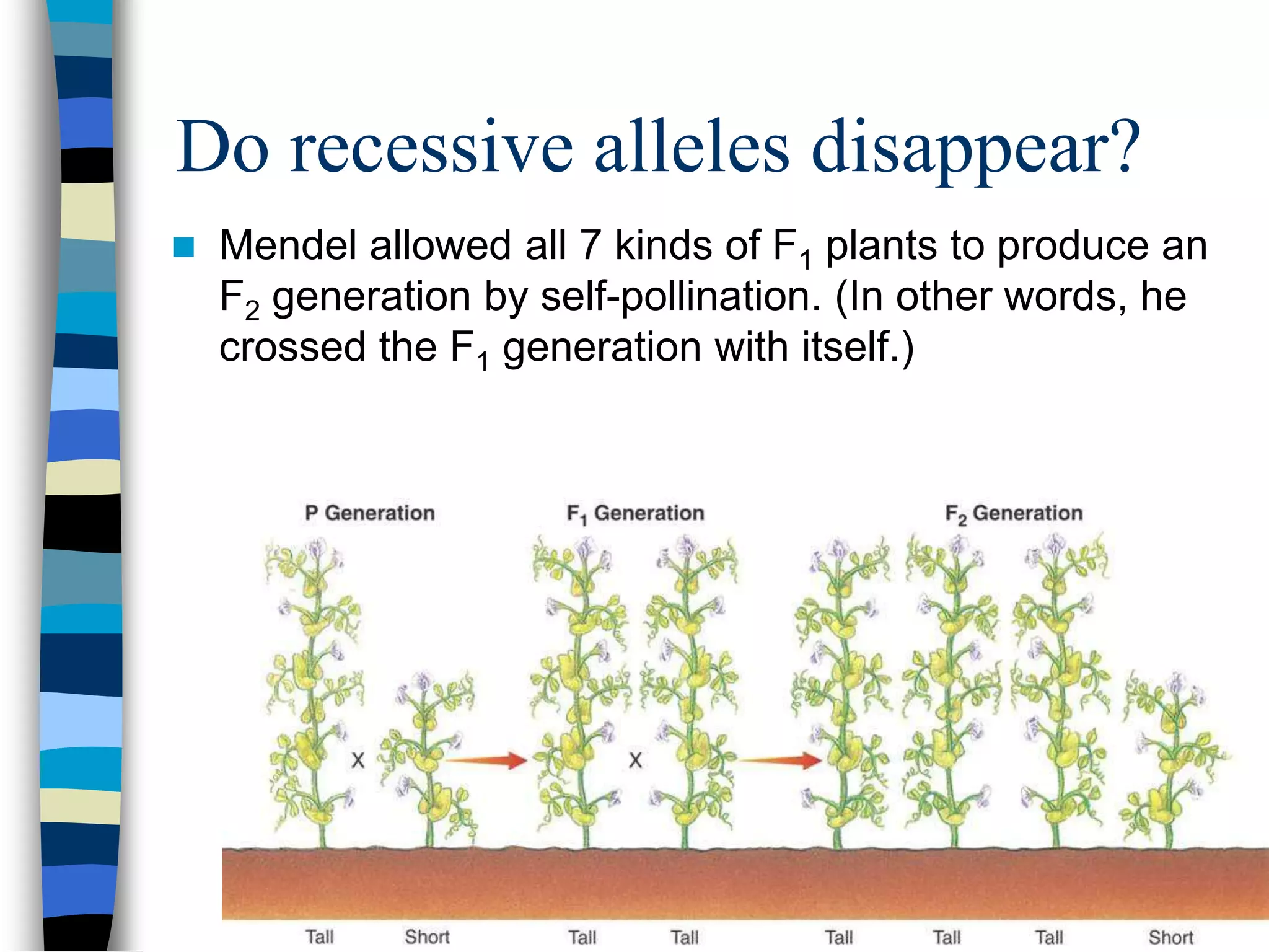 Genetics Powerpoint.pptx