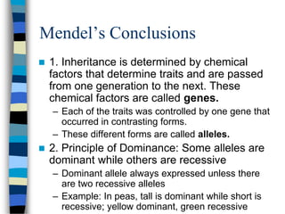 Genetics Powerpoint.pptx