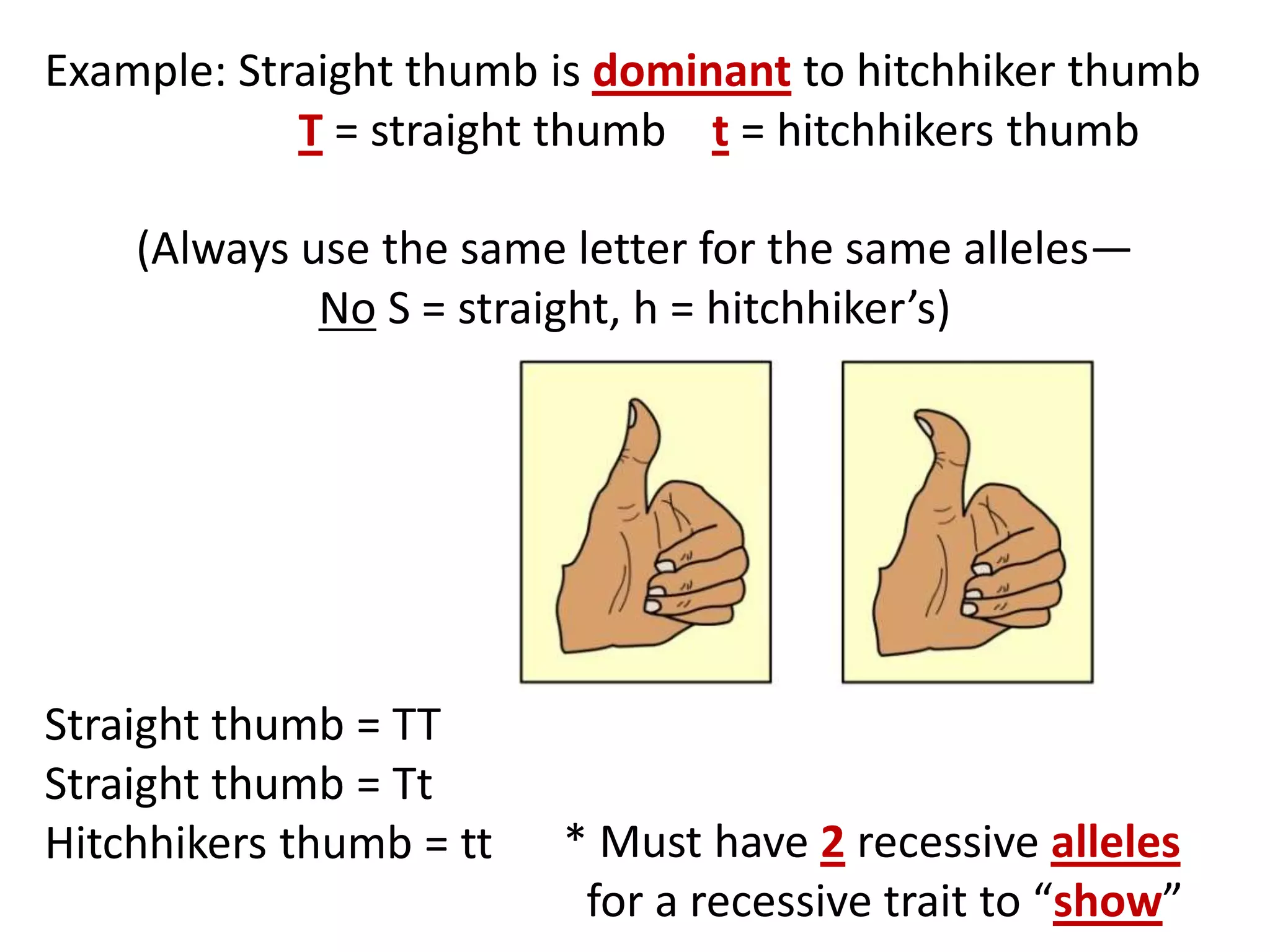 Genetics Powerpoint Pptx Genetics Science