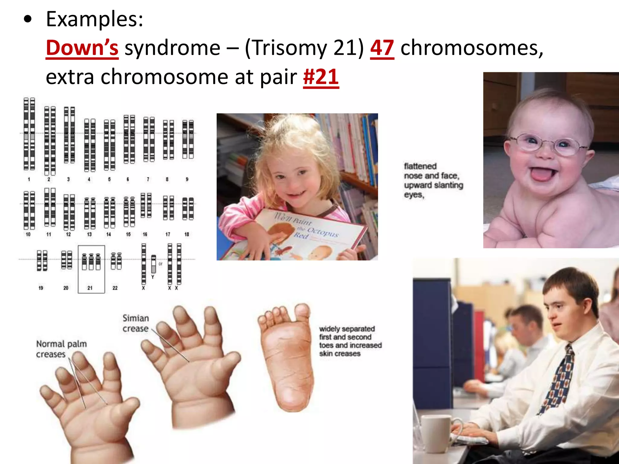 Genetics_Powerpoint.pptx