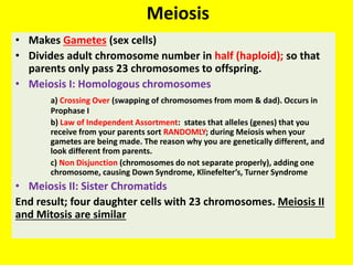 Genetics PowerPoint 2.pptx