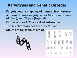 Genetics PowerPoint 2.pptx