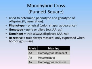 Genetics PowerPoint 2.pptx