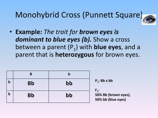 Genetics PowerPoint 2.pptx