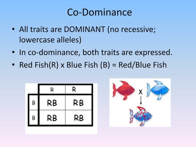 Genetics PowerPoint 2.pptx