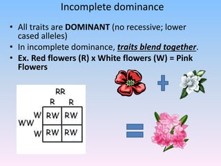 Genetics PowerPoint 2.pptx