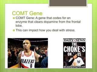Genetics pp | PPTX
